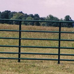 GATES – Davis Gates