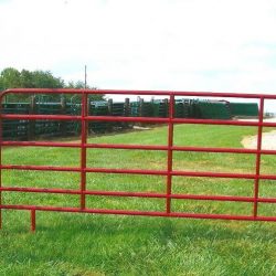 CORRALS – Davis Gates