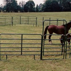 CORRALS – Davis Gates